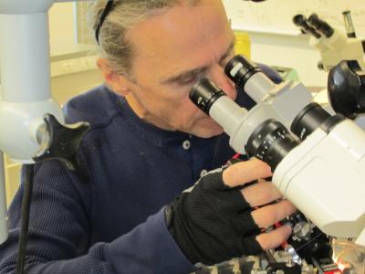 Richard Rabbitt, University of [IMAGE] | EurekAlert! Science News Releases