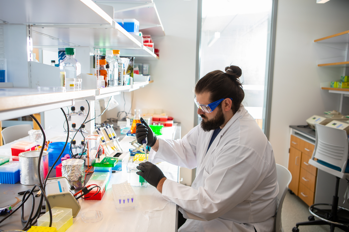 Lab work (2) [IMAGE] | EurekAlert! Science News Releases