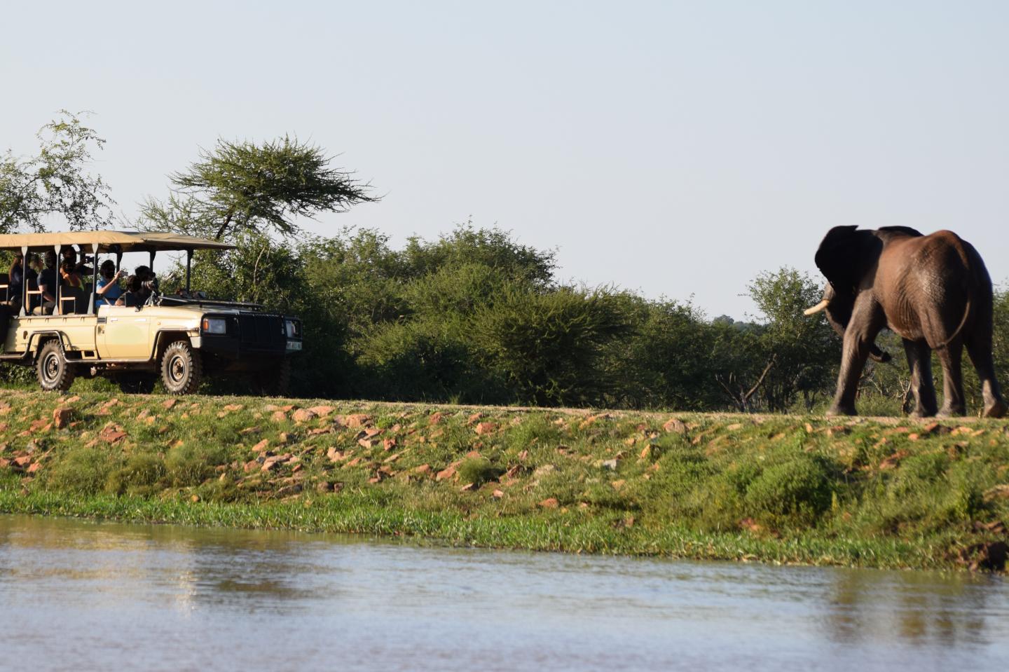 Wildlife tourism may negatively affect Africa | EurekAlert!