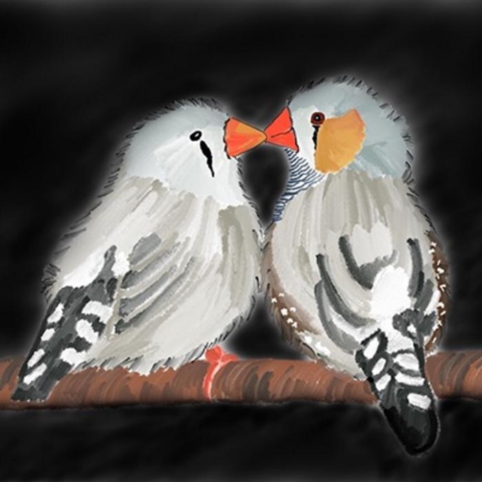 Courtship on the brain [IMAGE] | EurekAlert! Science News Releases