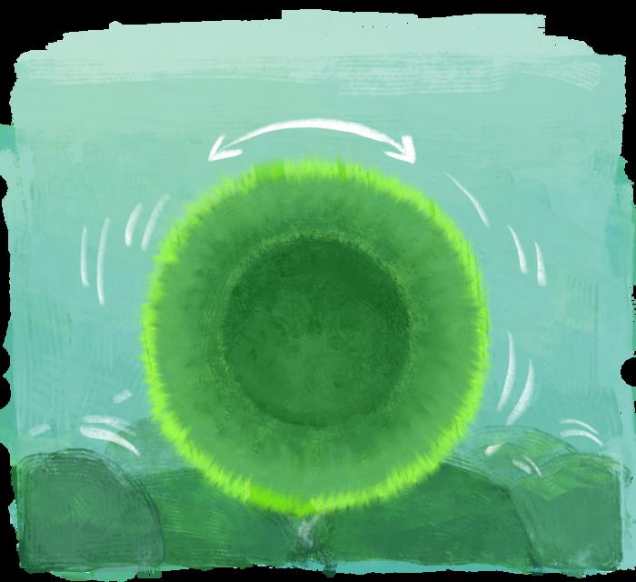 Marimo illustration cross sect [IMAGE] | EurekAlert! Science News Releases