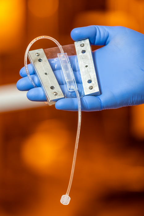 Prototype for the "heart valve [IMAGE] | EurekAlert! Science News Releases