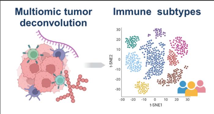 Researchers characterize the immune landscape | EurekAlert!