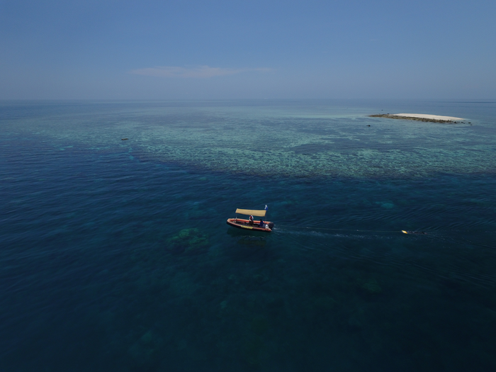 Highest coral cover in central, northern Reef | EurekAlert!