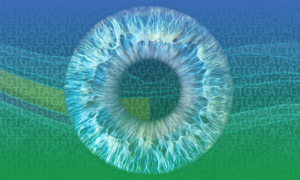 Large-scale study enables new insights into r | EurekAlert!