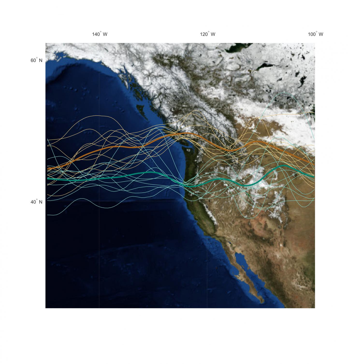 Storm Tracers: Tree Rings Detail Pacific Stor | EurekAlert!