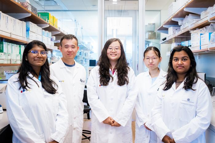 Dr. Chen Cao lab [IMAGE] | EurekAlert! Science News Releases