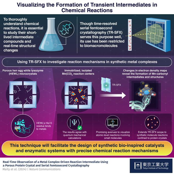 Visualizing short-lived intermediate compound | EurekAlert!