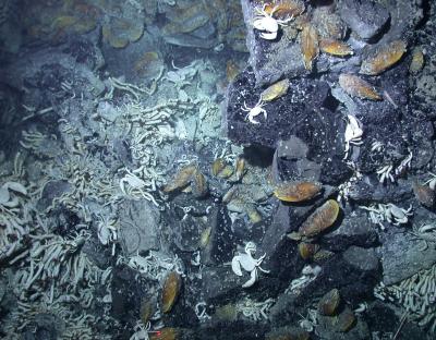 Ocean Eddies' Roots Churn up Deep Sea (6 of 9 | EurekAlert!