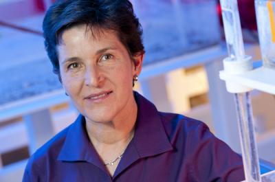 Deborah Gordon, Stanford Unive [IMAGE] | EurekAlert! Science News Releases