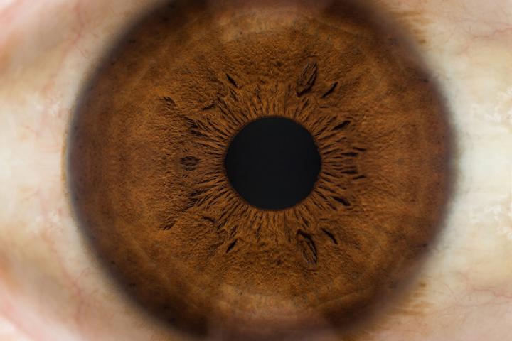 Regenerative medicine speeds healing of eye t | EurekAlert!