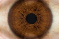 Regenerative medicine speeds healing of eye t | EurekAlert!