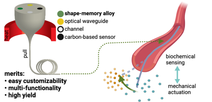 Figure 1 [IMAGE] | EurekAlert! Science News Releases