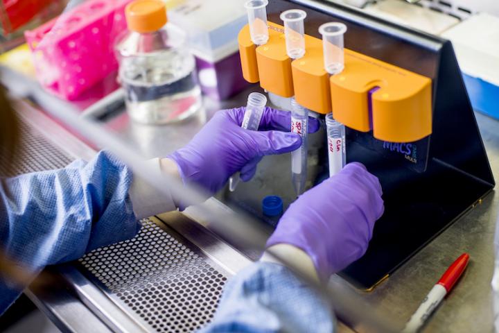 Forsyth Institute and Sherlock Biosciences pa | EurekAlert!