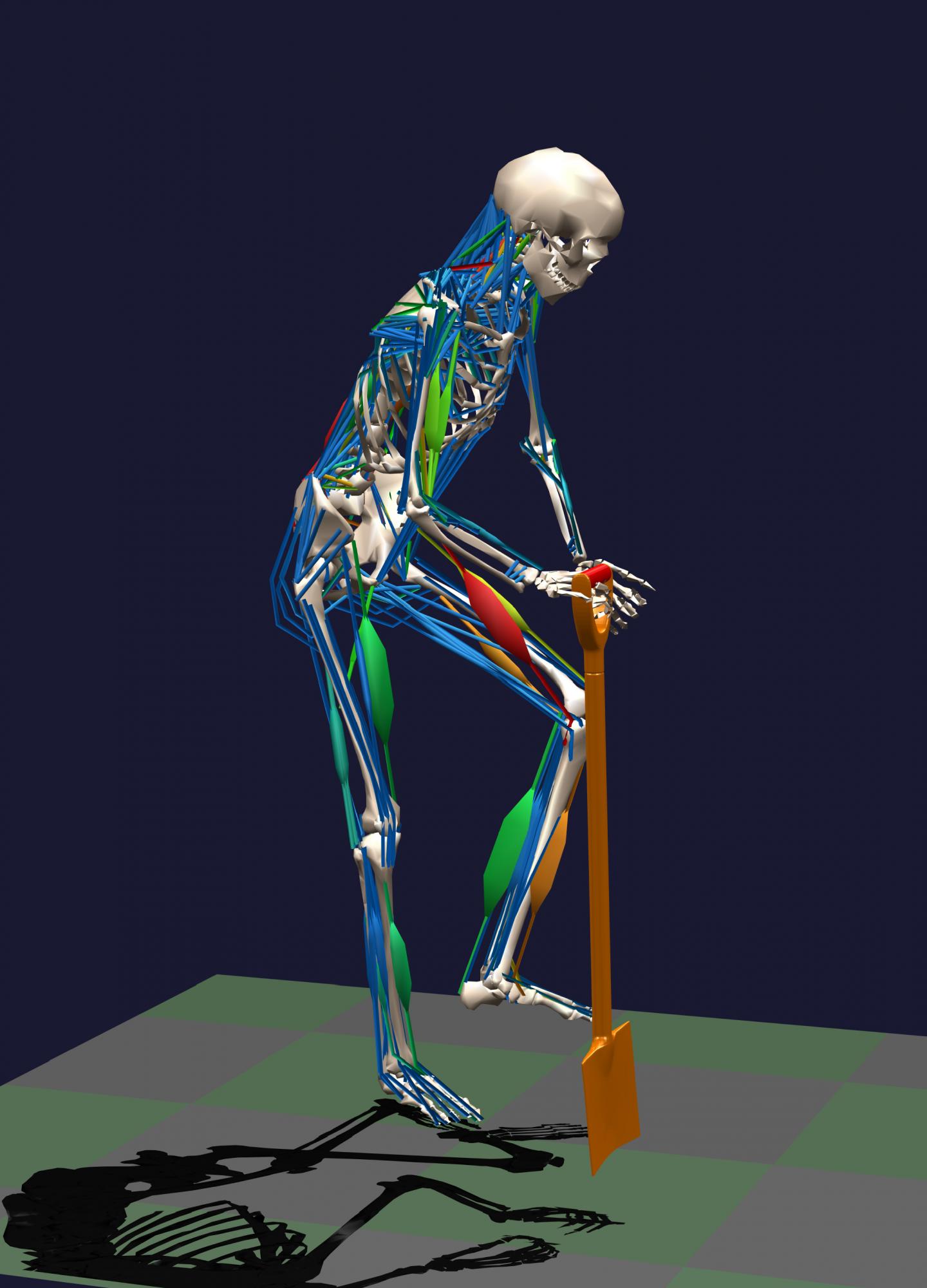 Digging -- GOOD Technique [IMAGE] | EurekAlert! Science News Releases