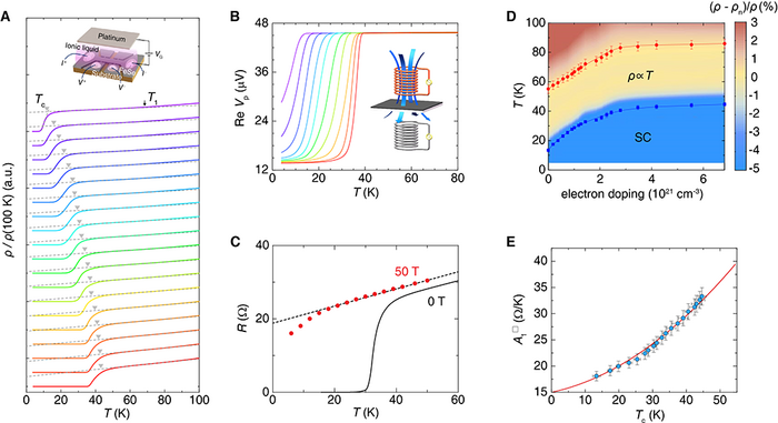 The quantitative relationship [IMAGE] | EurekAlert! Science News Releases
