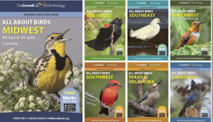 New regional bird guides simplify identificat | EurekAlert!