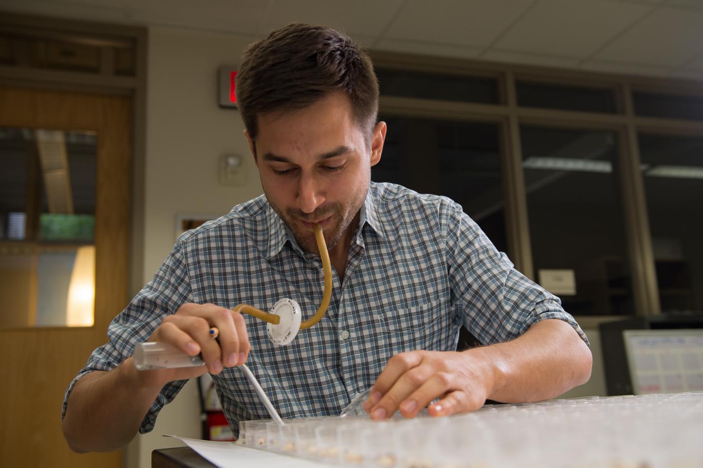 Brad Ochocki, Rice University [IMAGE] | EurekAlert! Science News Releases