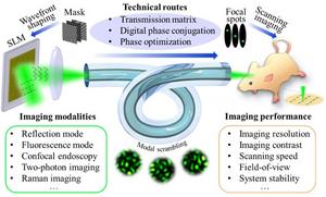 Optical scanning endoscope via a single multi | EurekAlert!
