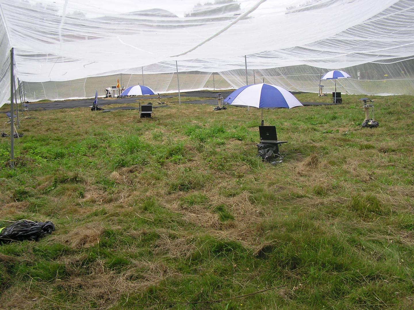 Flight Arena, Internal View [IMAGE] | EurekAlert! Science News Releases