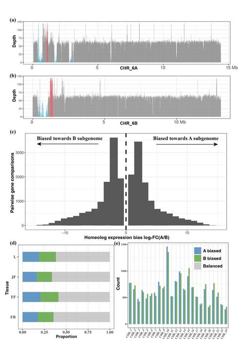 Figure 3. [IMAGE] | EurekAlert! Science News Releases