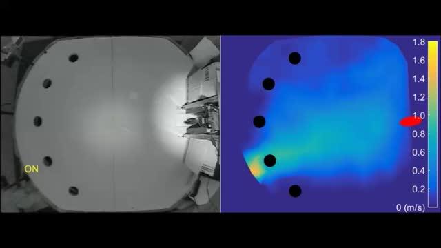 To Follow the Wind, Rats Use their Whiskers ( | EurekAlert!