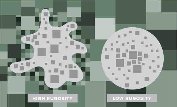 Rugosity and concentricity: In urban planning | EurekAlert!