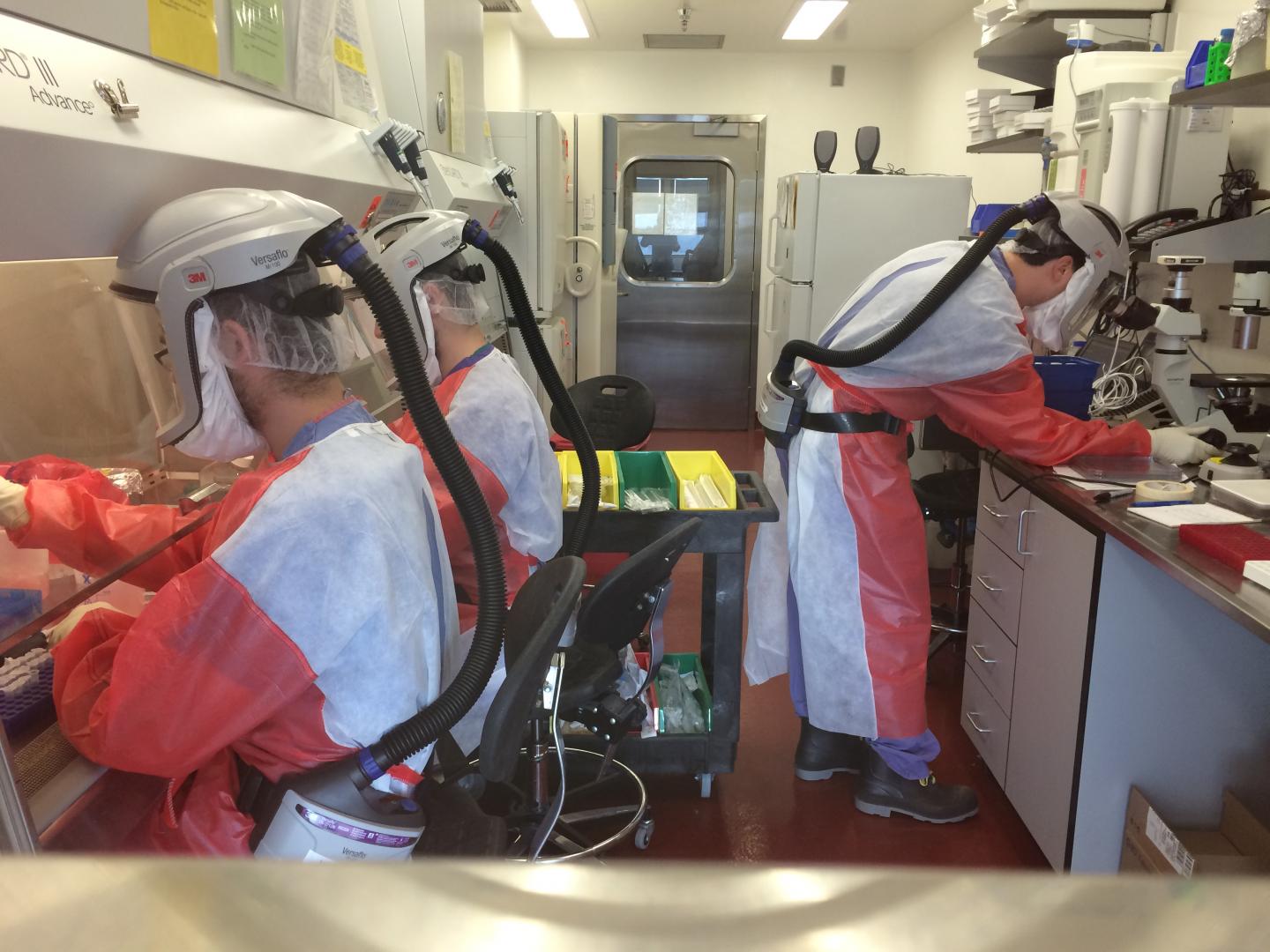 Infectious Disease Lab [IMAGE] | EurekAlert! Science News Releases