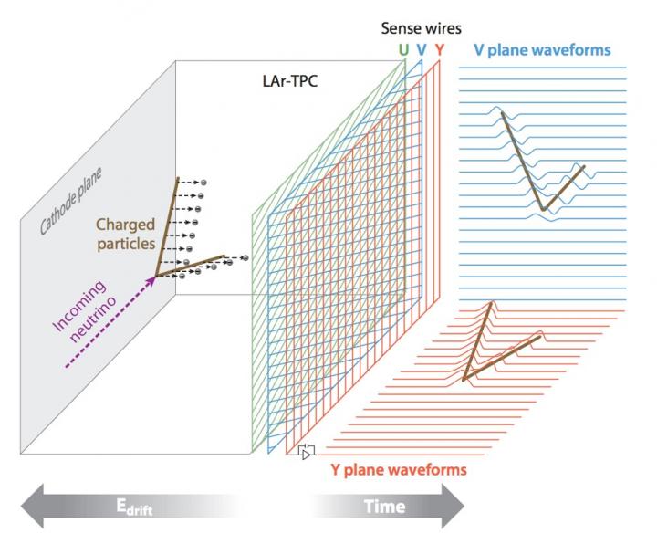 How the MicroBooNE detector wo [IMAGE] | EurekAlert! Science News Releases