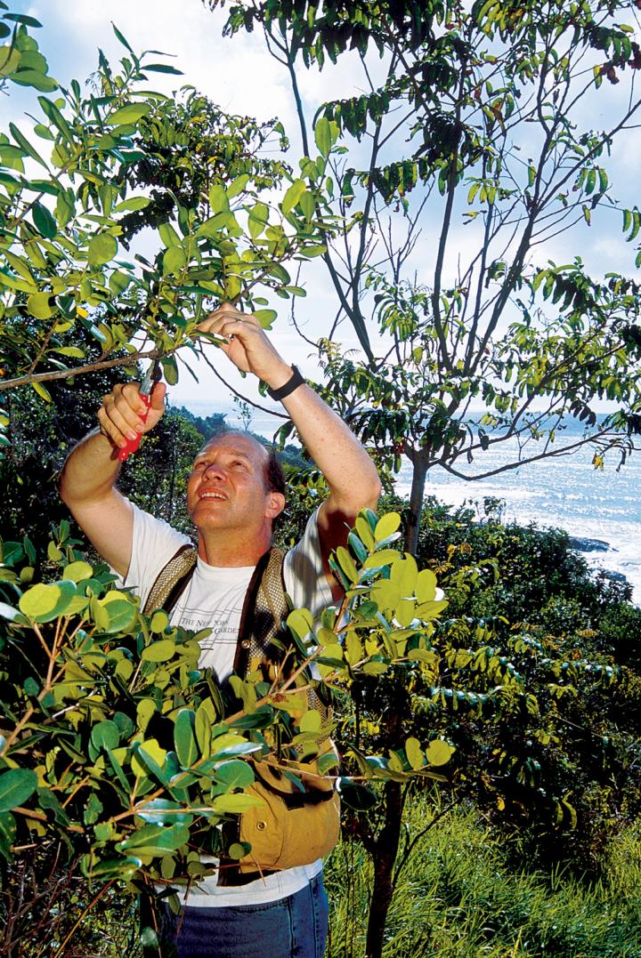 Dr. Wayt Thomas, the NYBG's Le [IMAGE] | EurekAlert! Science News Releases