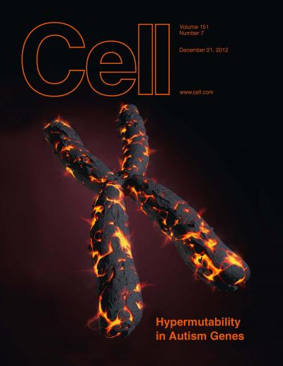 Mutation hotspots in autism genes | EurekAlert!