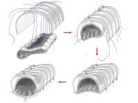 External stenting can relieve chronic airway | EurekAlert!