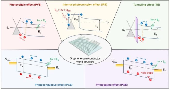 Photodetectors based on graphene–semiconducto | EurekAlert!