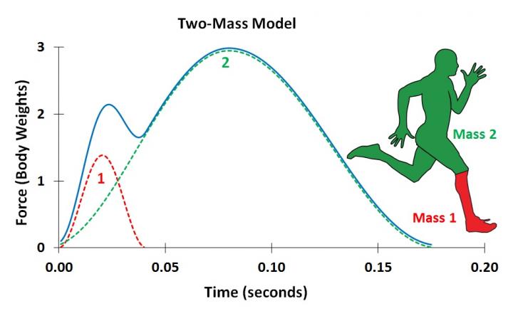 New study connects running motion to ground f | EurekAlert!