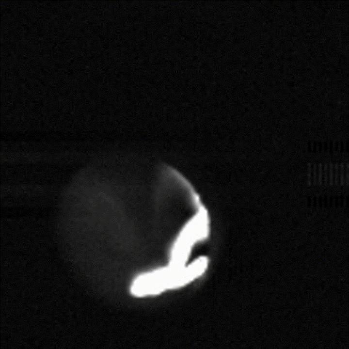 Cold Plasma Vortex [IMAGE] | EurekAlert! Science News Releases