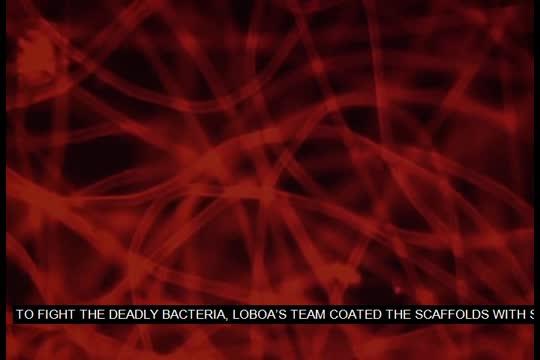 Silver ion-coated medical devices could fight | EurekAlert!