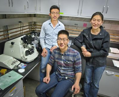 Peter Bai, Joseph Kao and Ting [IMAGE] | EurekAlert! Science News Releases