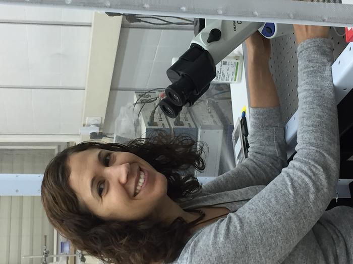 Innovative gene therapy may help treat a seve | EurekAlert!