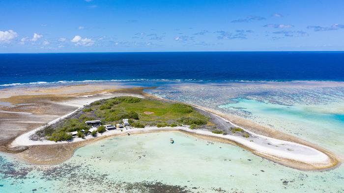 One Tree Island Research Stati [IMAGE] | EurekAlert! Science News Releases