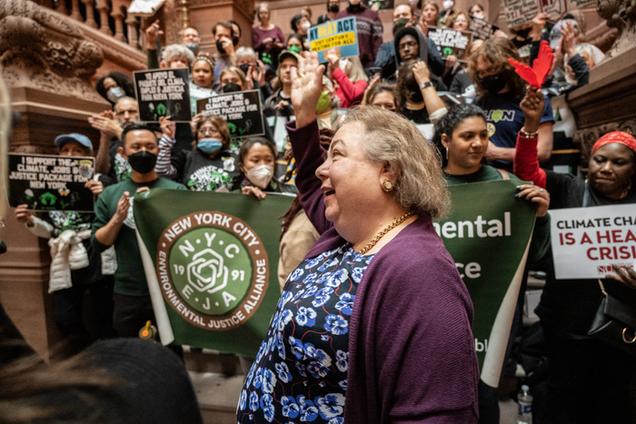 The New York City Environmental Justice Allia | EurekAlert!