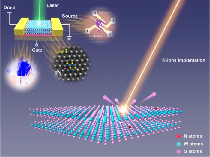 Figure 1 | The schematic diagr [IMAGE] | EurekAlert! Science News Releases