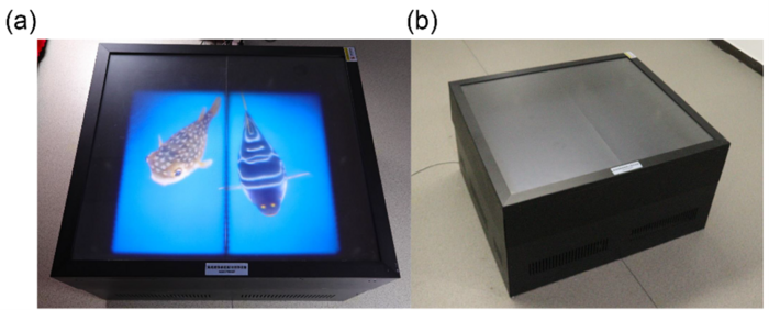 FIG 2 [IMAGE] | EurekAlert! Science News Releases