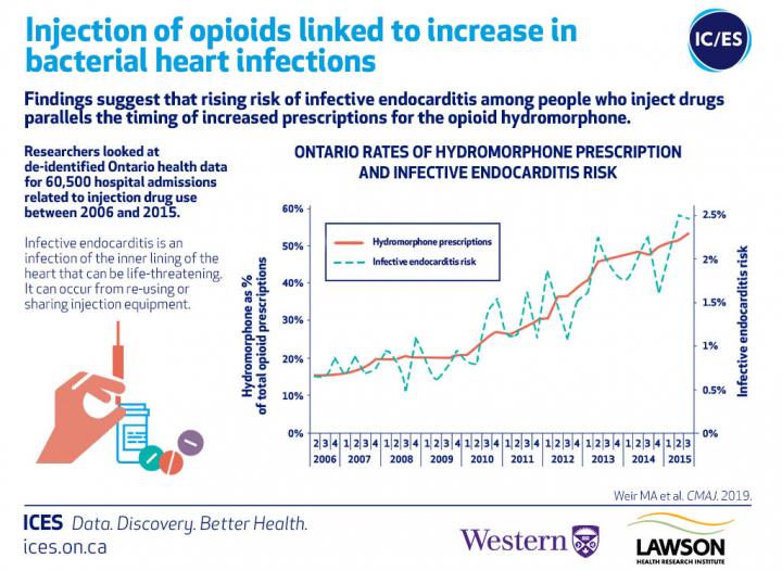 Injection of opioids linked to significant in | EurekAlert!