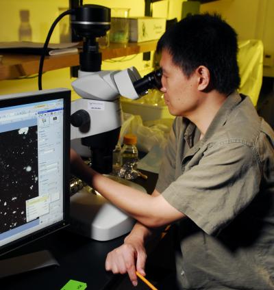 Lin Jiang, Georgia Institute o [IMAGE] | EurekAlert! Science News Releases