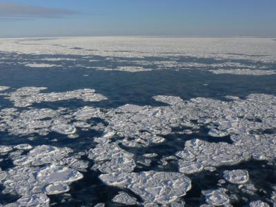 Sea Ice 2007 Christoph Lüpkes, [IMAGE] | EurekAlert! Science News Releases