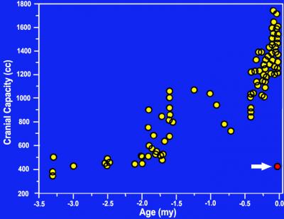 Graph Showing Outlier [IMAGE] | EurekAlert! Science News Releases