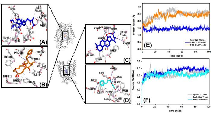 Starving Cancer Cells: Researc [IMAGE] | EurekAlert! Science News Releases