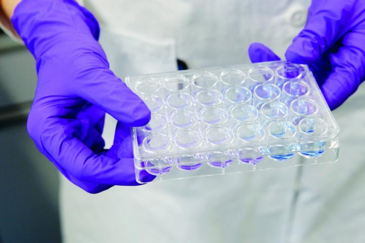 Well Plate [IMAGE] | EurekAlert! Science News Releases