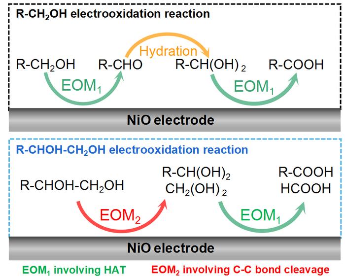 Schematic diagram illustrating [IMAGE] | EurekAlert! Science News Releases