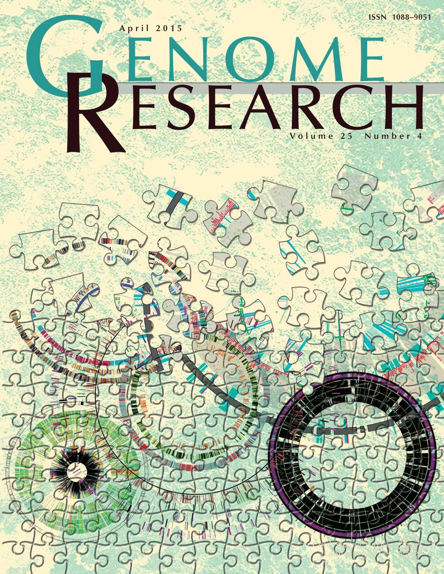 Cover of April 2015 Genome [IMAGE] | EurekAlert! Science News Releases
